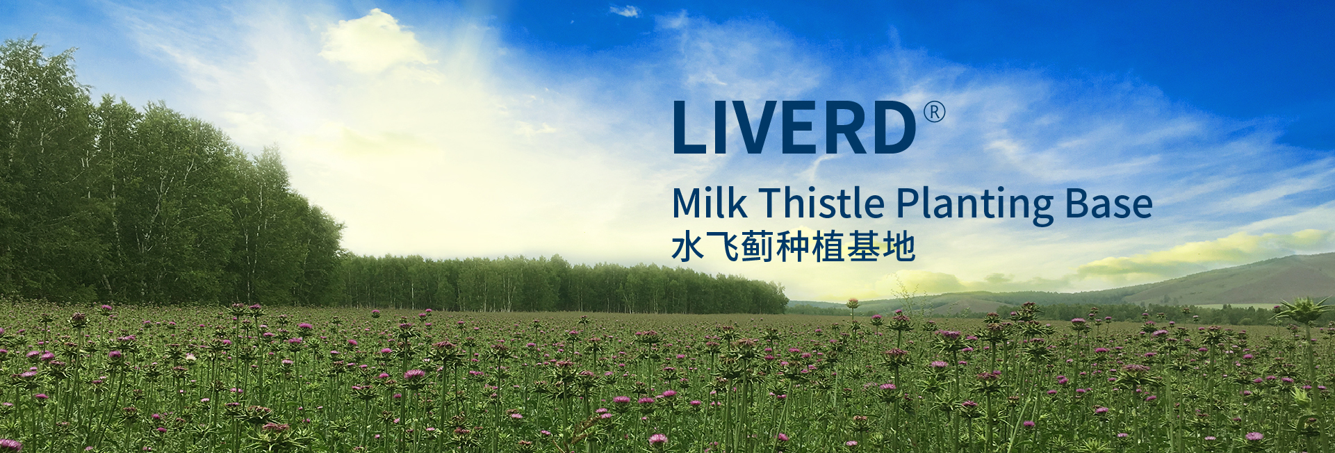 RAW MATERIAL-LIVERD PHARMA CO., LTD.